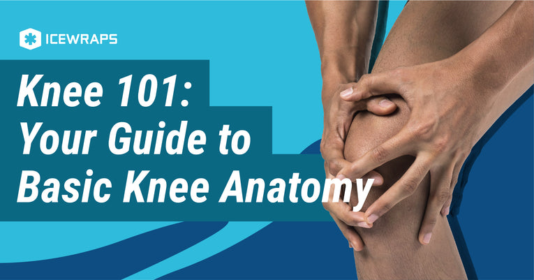 Knee 101: Your Guide to Basic Knee Anatomy - IceWraps