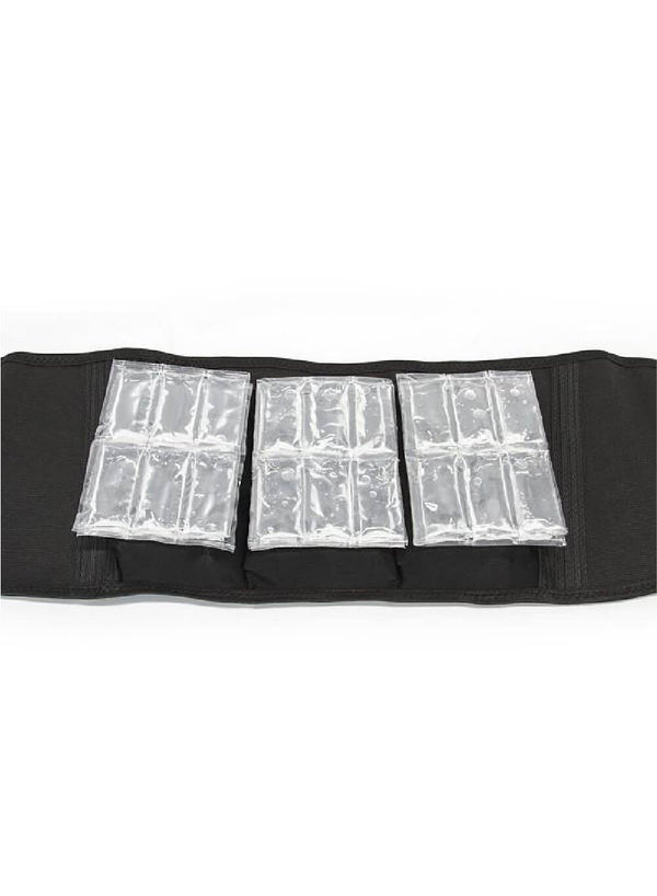 Pro Ice Inserts For PI-740 X-Large Lumbar/Lower Back Ice Wrap PI-741 ...